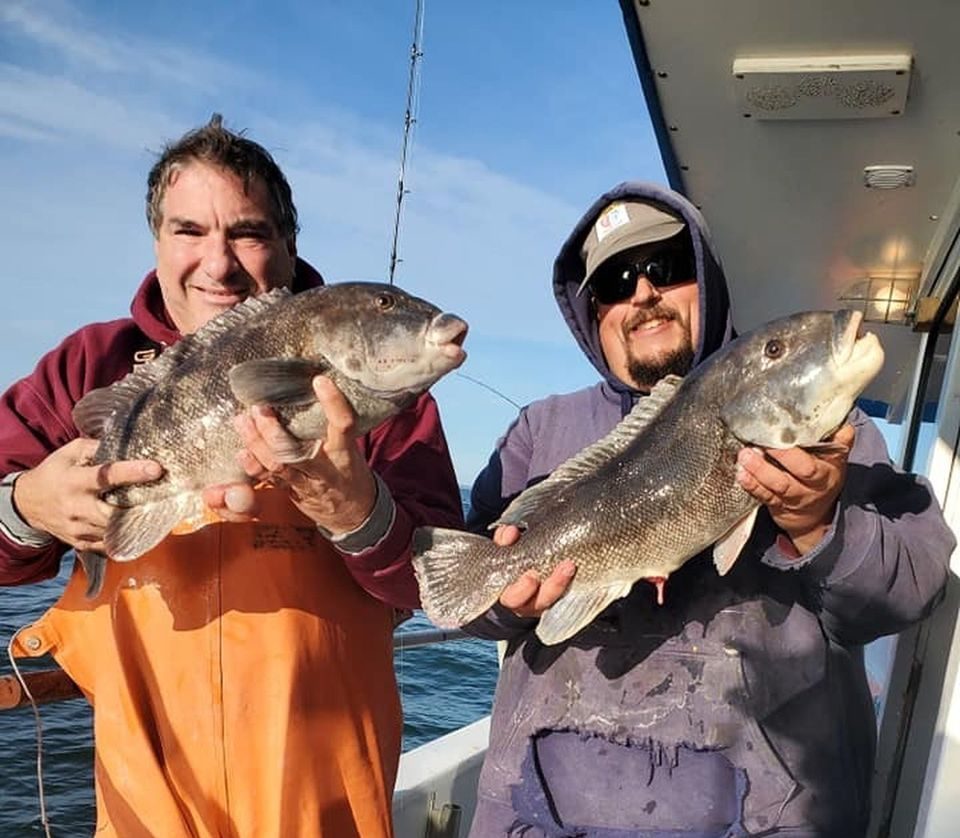 Tog & Seabass Charter | Bounty Hunter Sport Fishing